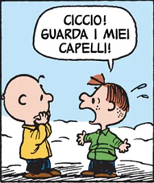 Capelli – oןısɐ,ןןɐ ɐɯ ɐןonɔs ɐ opɐʌ uou